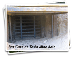 Cultural Landscapes - Tesla Mine Complex