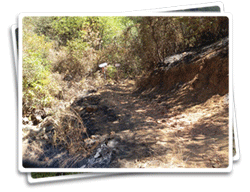 Wildfire Damages Mammoth Bar OHV Area