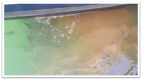 Boaters, Here is What You Need to Know About Boat Sewage