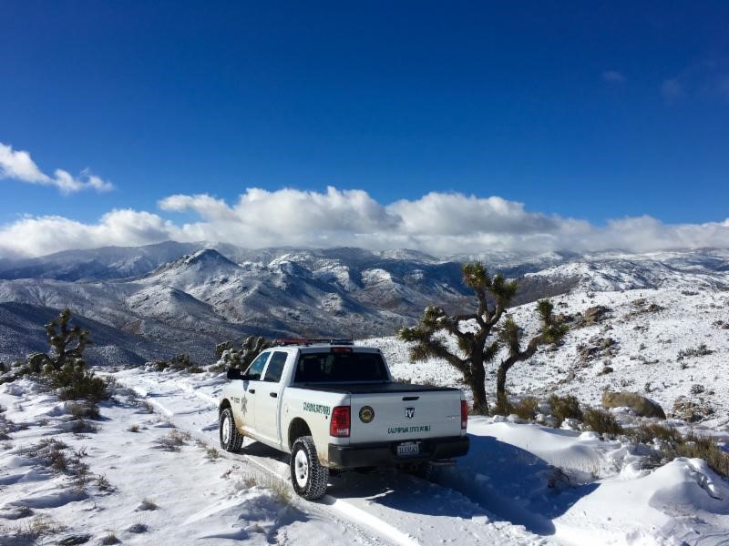 Winter / Snow Safety Tips