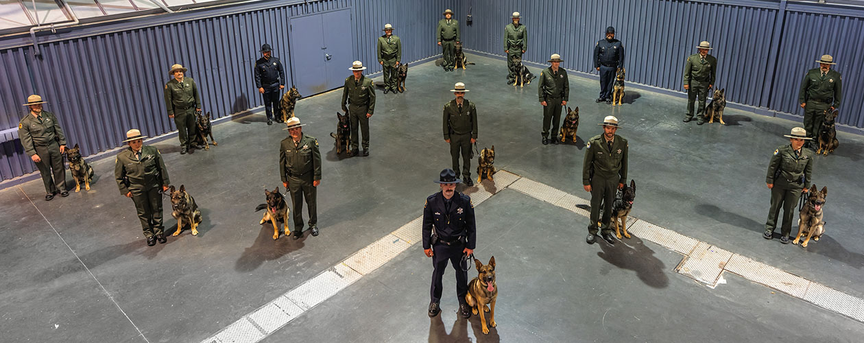 K-9 Program