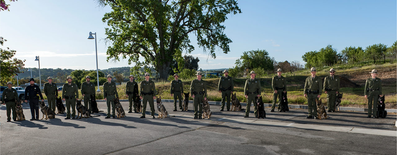 50th Anniversary of K-9 Program