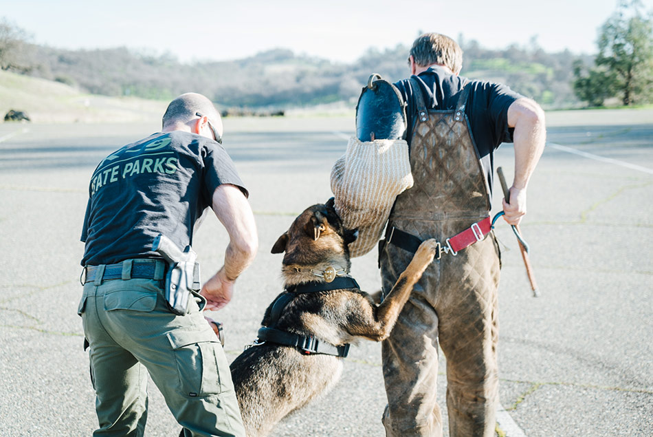 50th Anniversary of K-9 Program