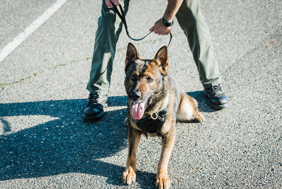 50th Anniversary of K-9 Program
