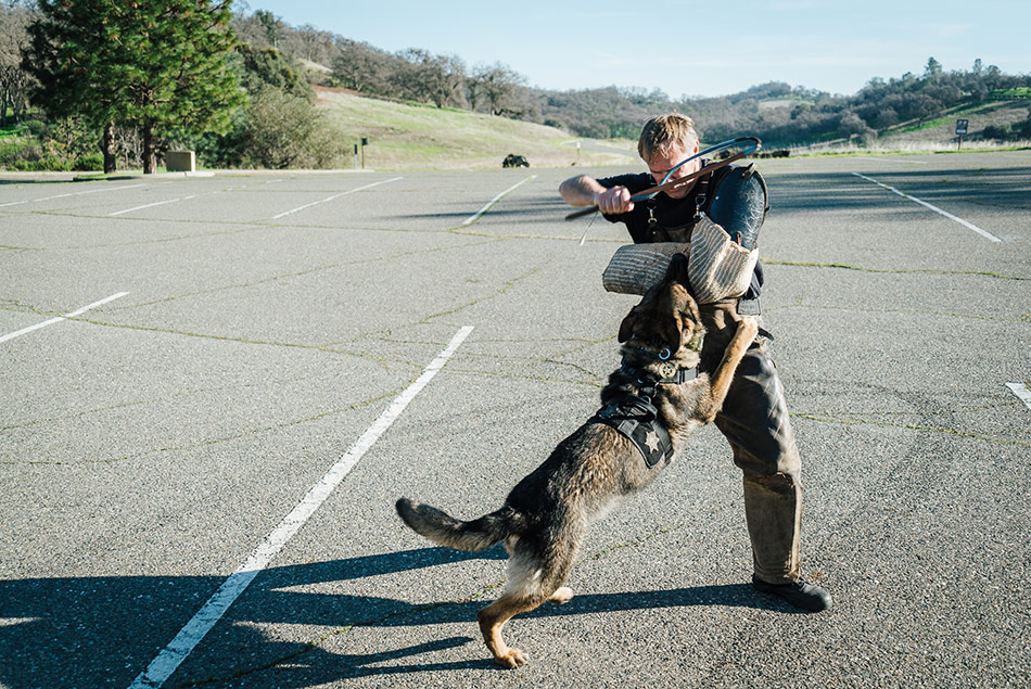 50th Anniversary of K-9 Program