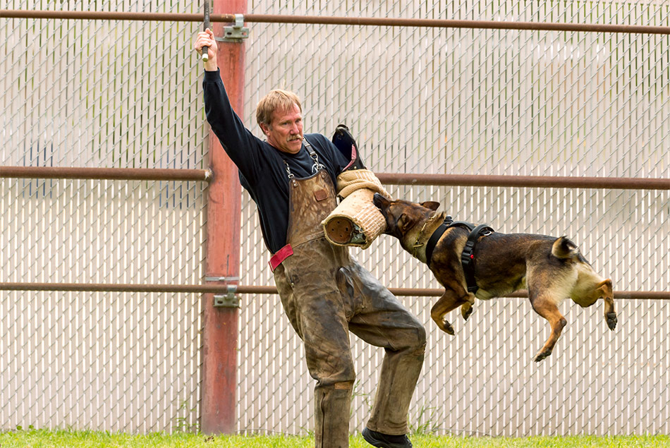 50th Anniversary of K-9 Program