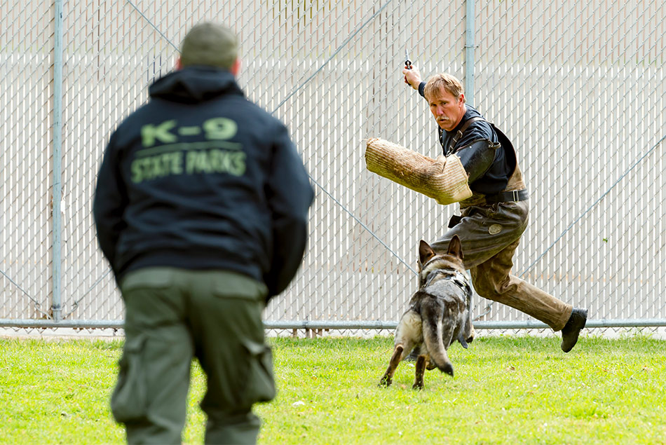 50th Anniversary of K-9 Program