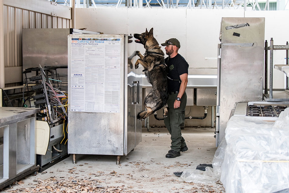 50th Anniversary of K-9 Program