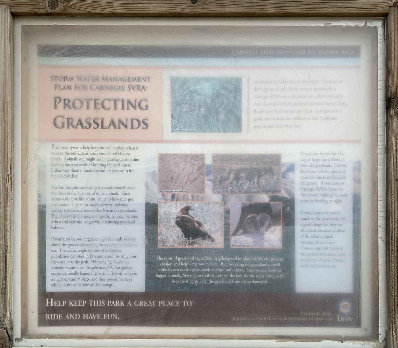 Interpretative and Outreach Materials