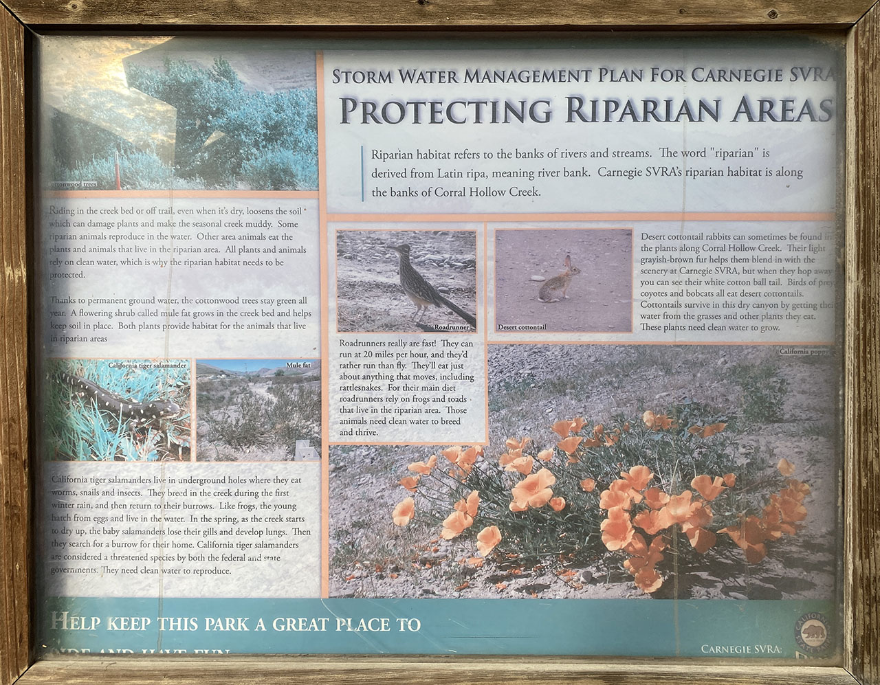 Interpretative and Outreach Materials