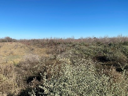 Dos Rios Image Gallery