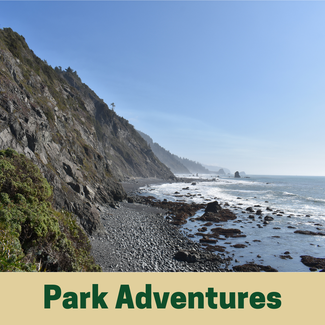 Del Norte Coast Redwoods State Park