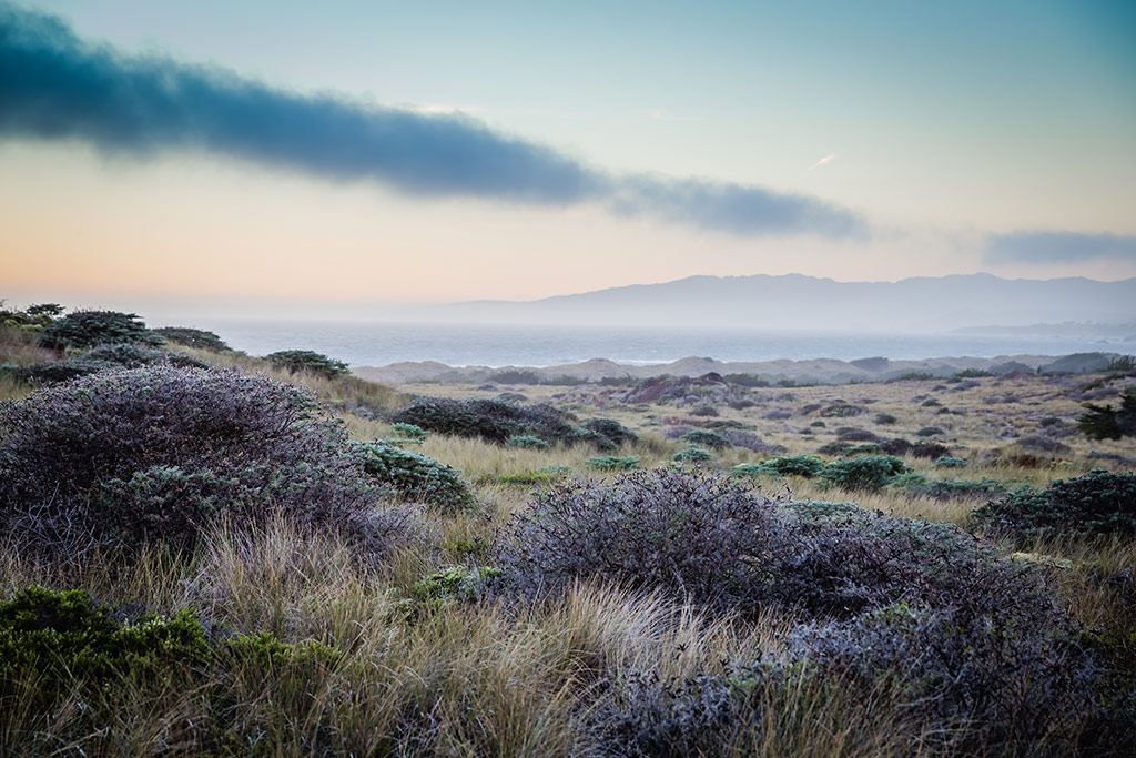 Sonoma Coast State Park