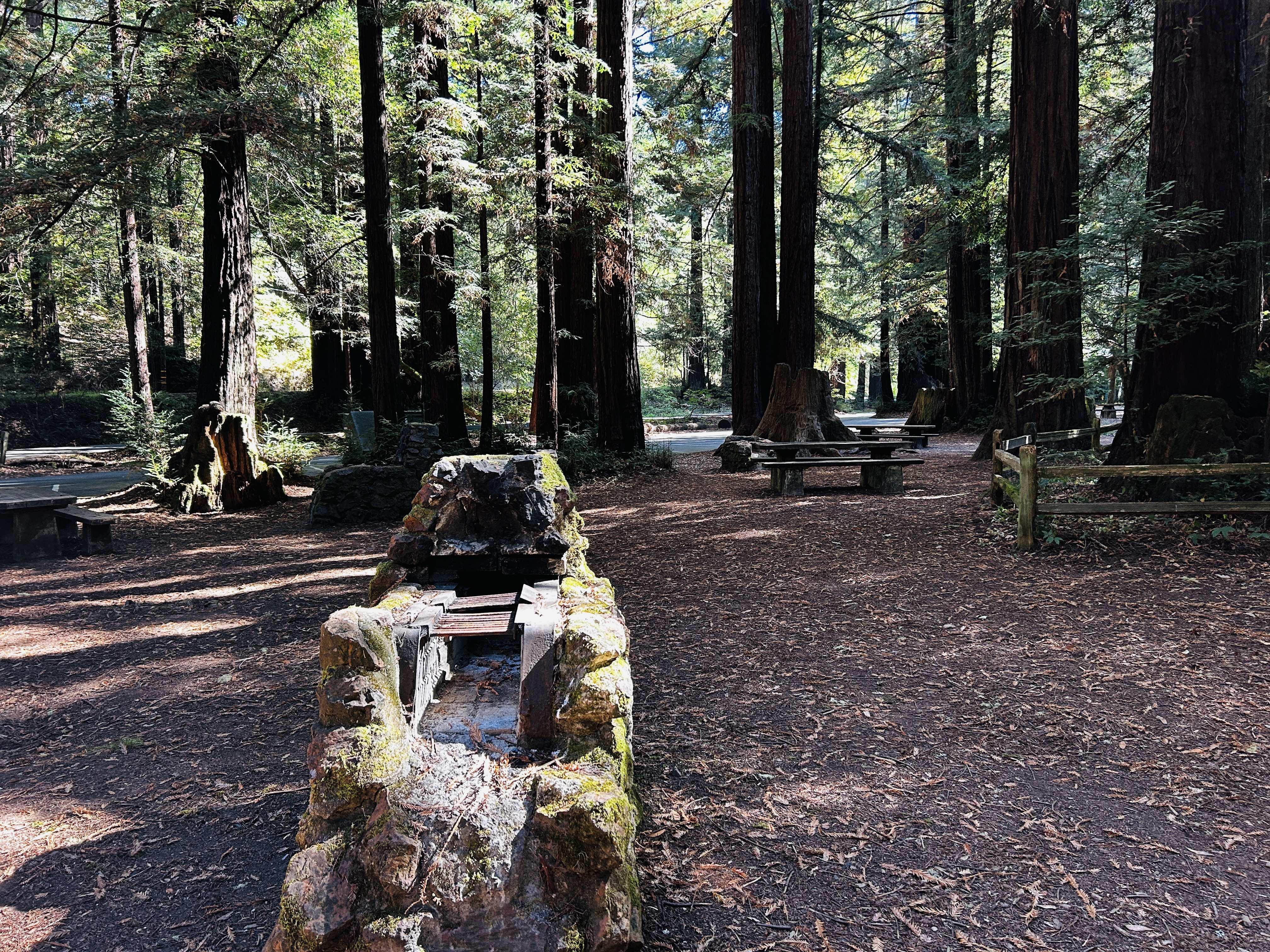 Samuel P. Taylor State Park