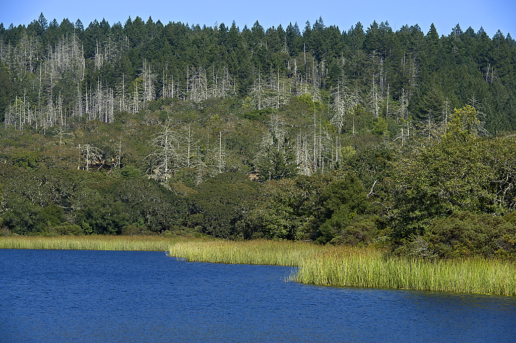 Trione-Annadel SP Image Gallery