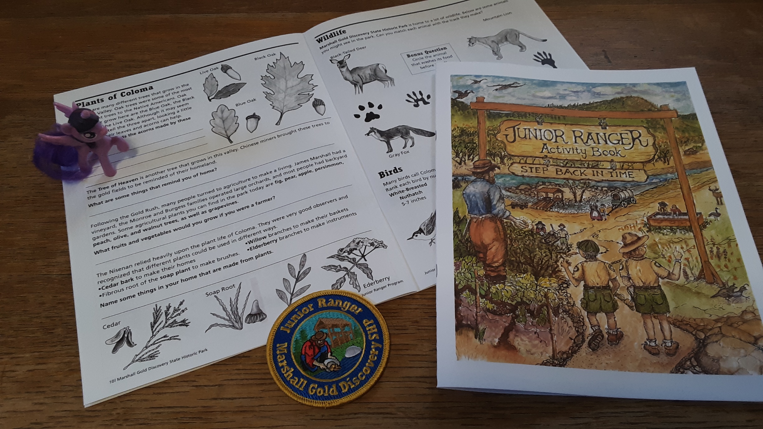 Marshall Gold Discovery State Historic Park