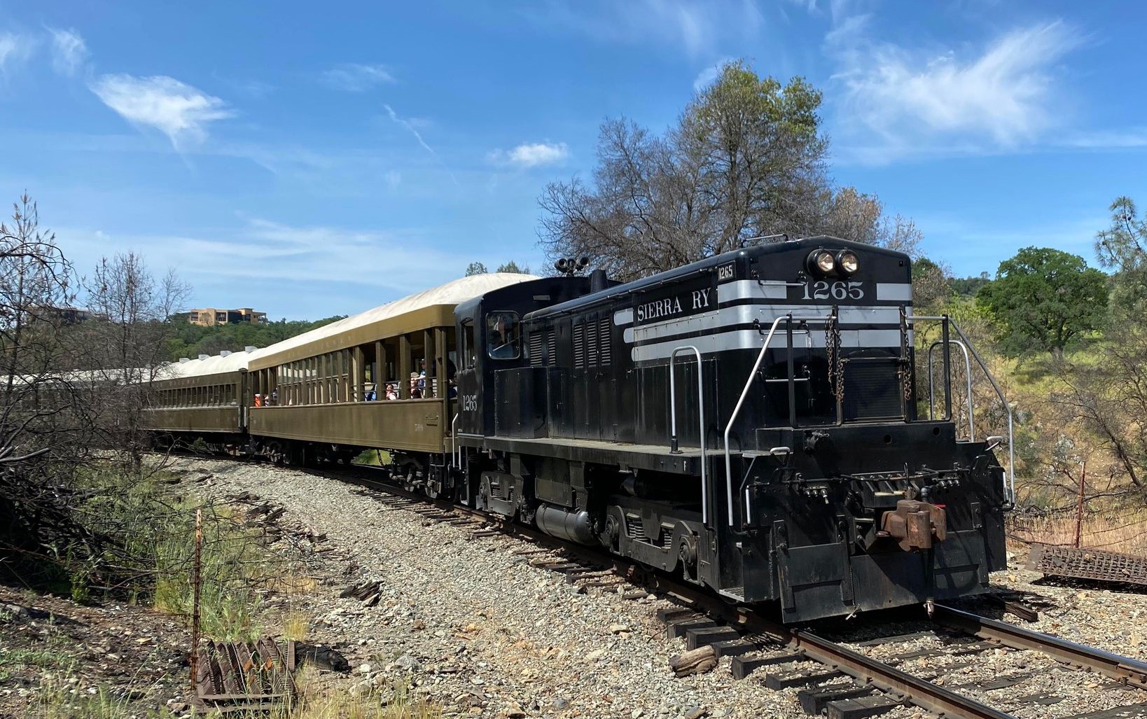 Excursion Train Rides