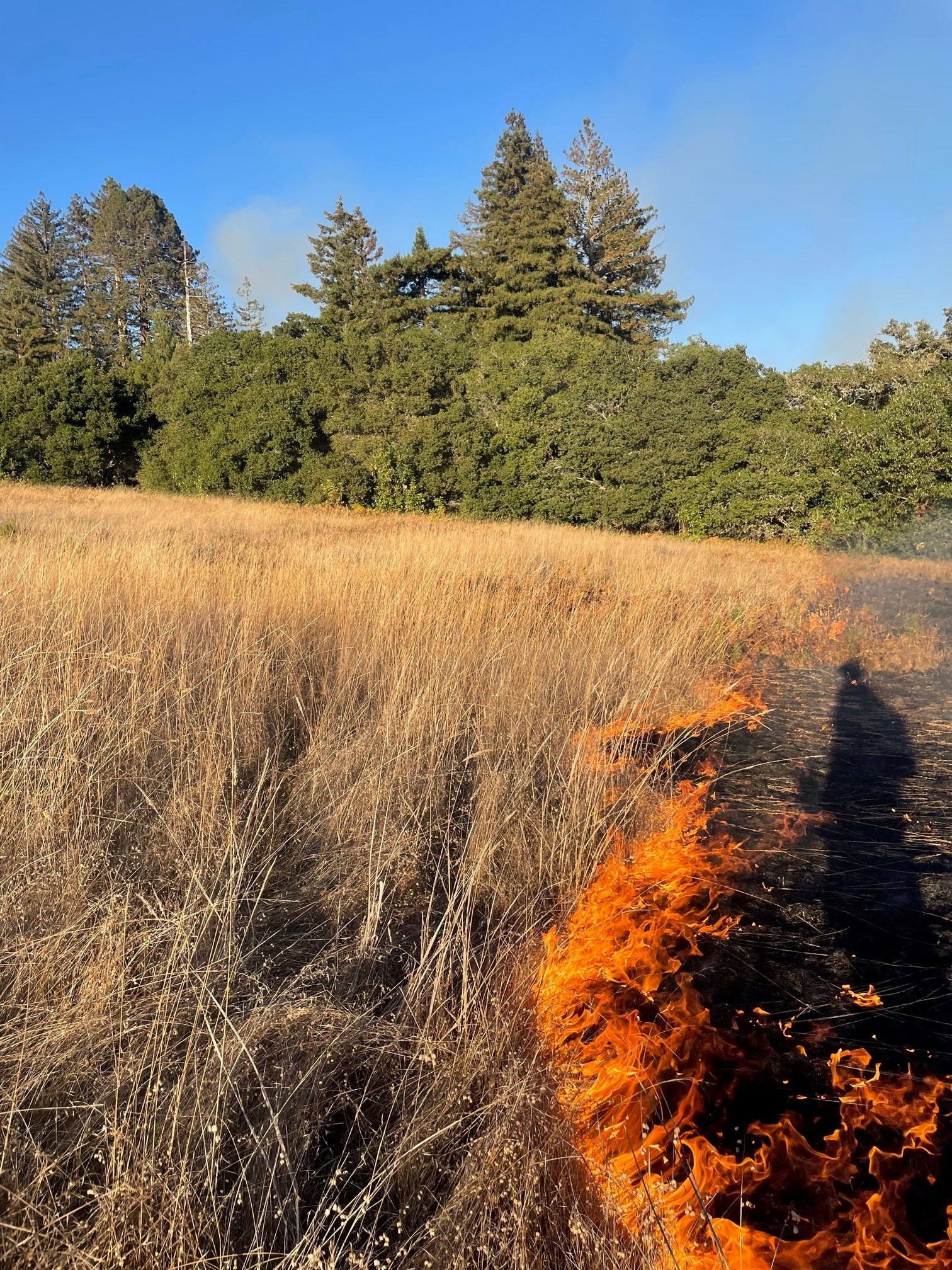 Prescribed Fire at Mount Diablo