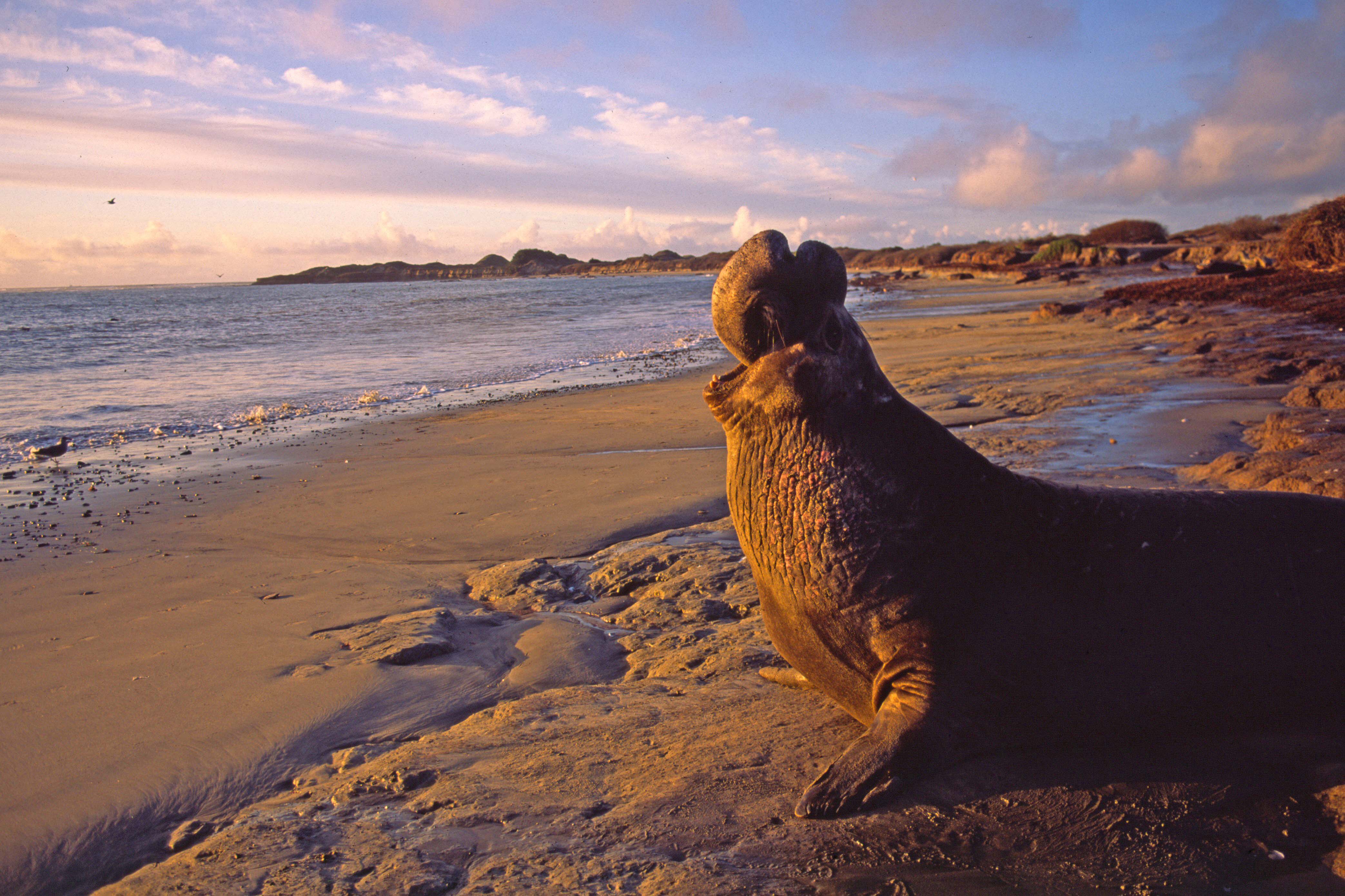 Find a California State Park