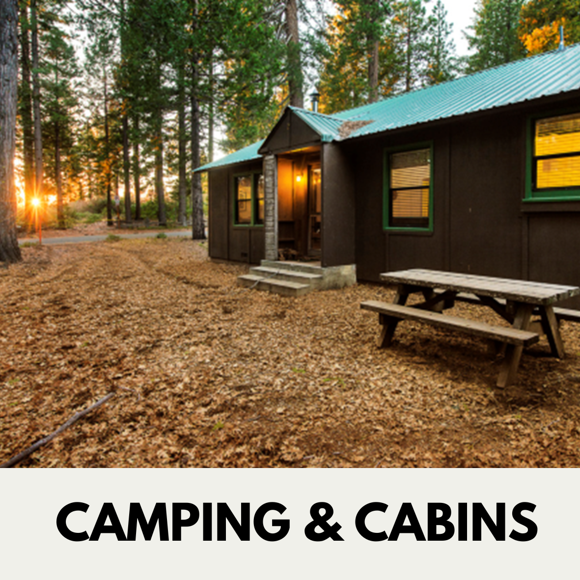 Calaveras Big Trees SP