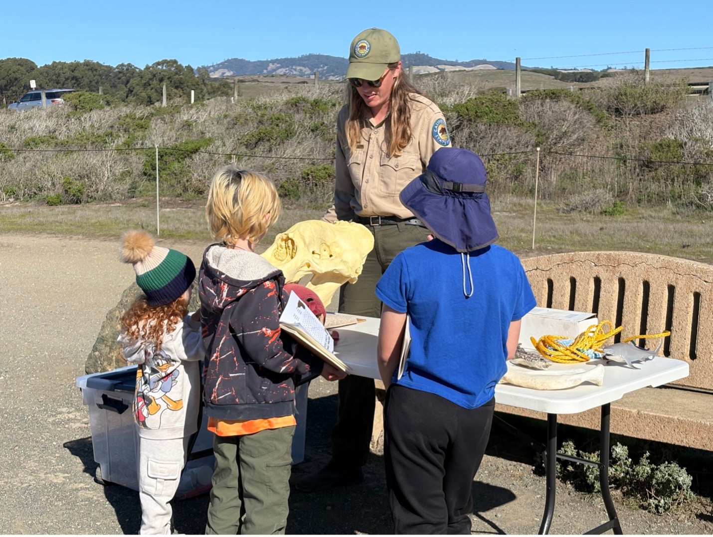 Elephant Seal School Group Program