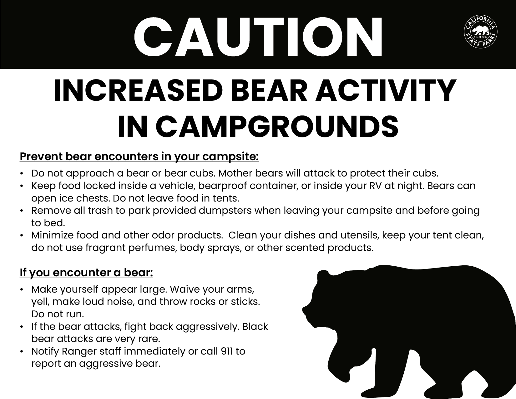 Bear Safety