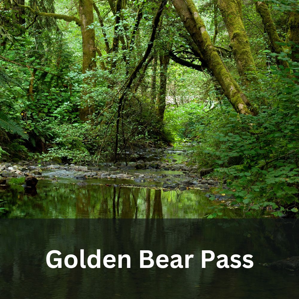 What's New at California State Parks