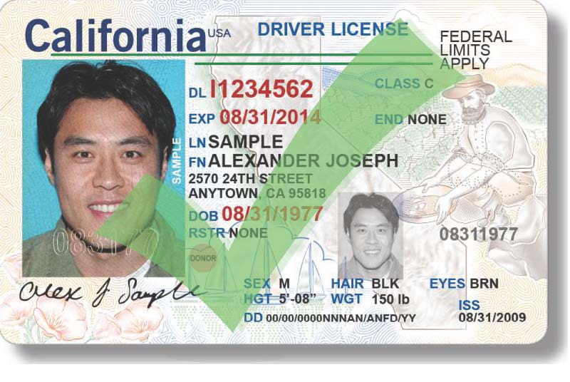 Golden Bear Pass Application Requirements