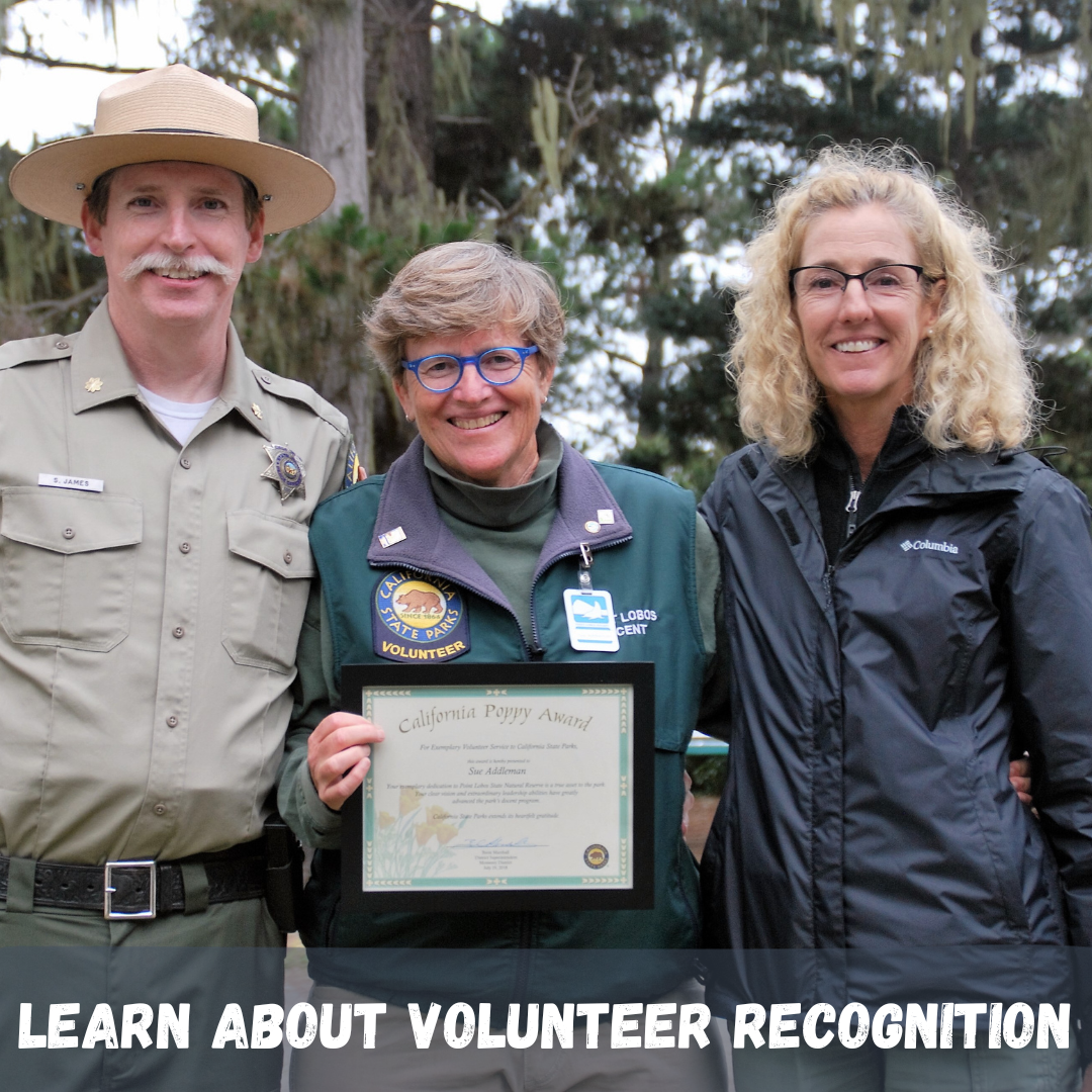 Volunteers in Parks